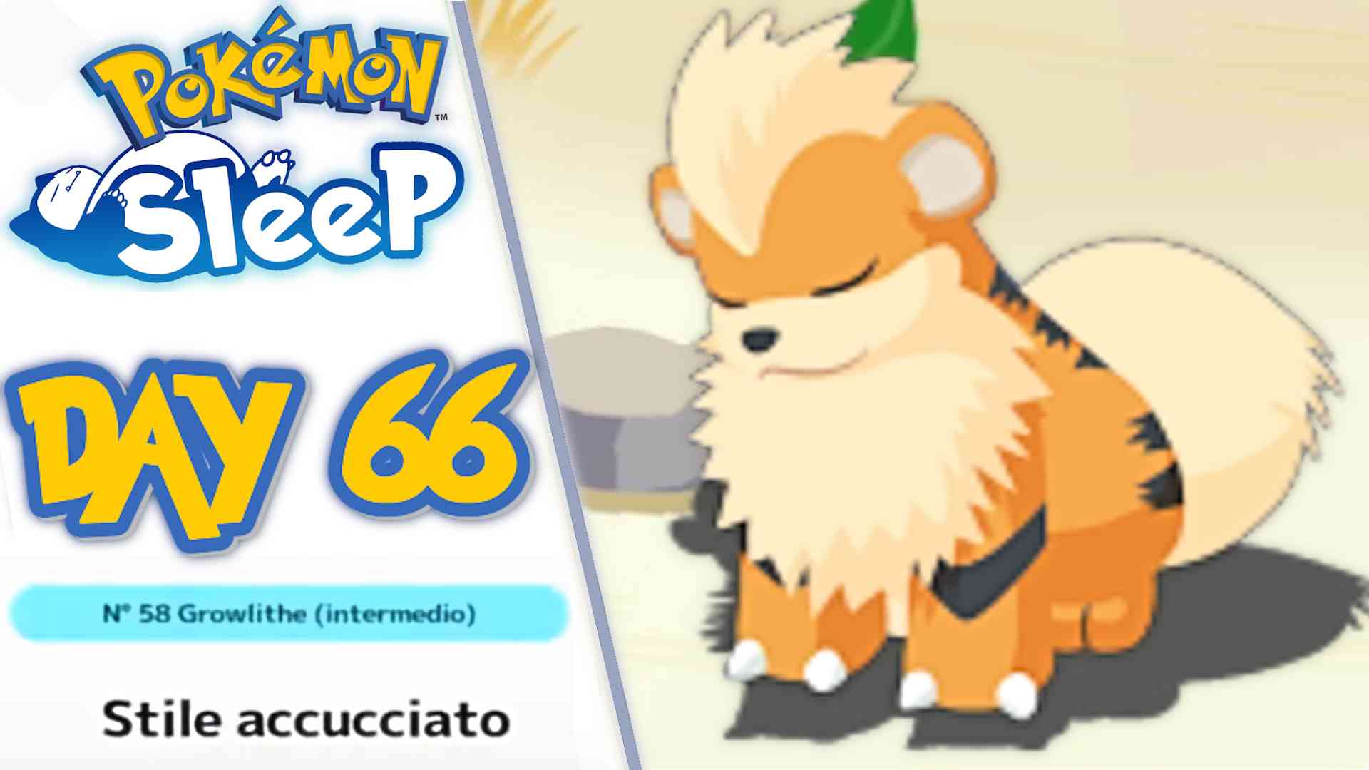 Pokémon Sleep (Day 66) Dormendo seduti con Growlithe [Giorno 66]
