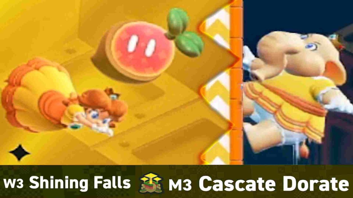 [GUIDA] Super Mario Bros Wonder: tutti i Semi meraviglia, le Monete ...